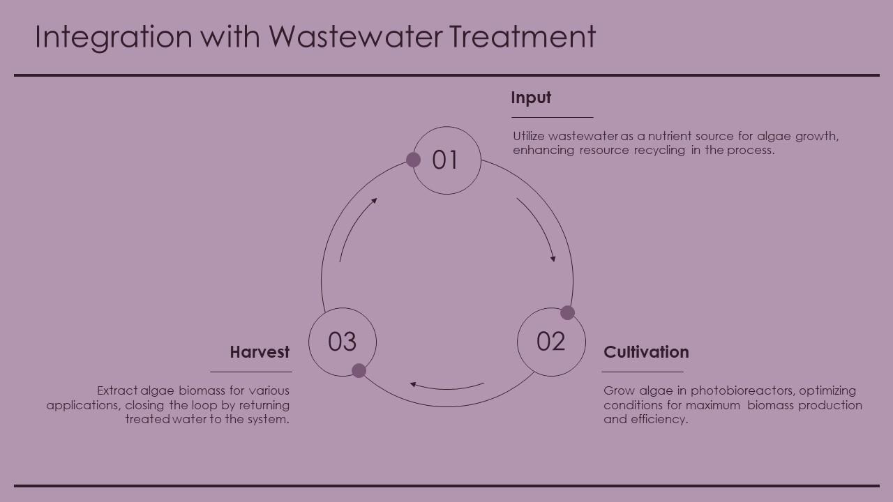 Photobioreactor Innovative Technology For Sustainable Algae Cultivation ...
