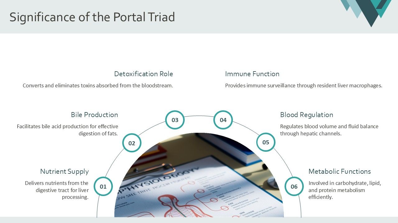 Top 10 Triad Chord Structures PowerPoint Presentation Templates in 2026