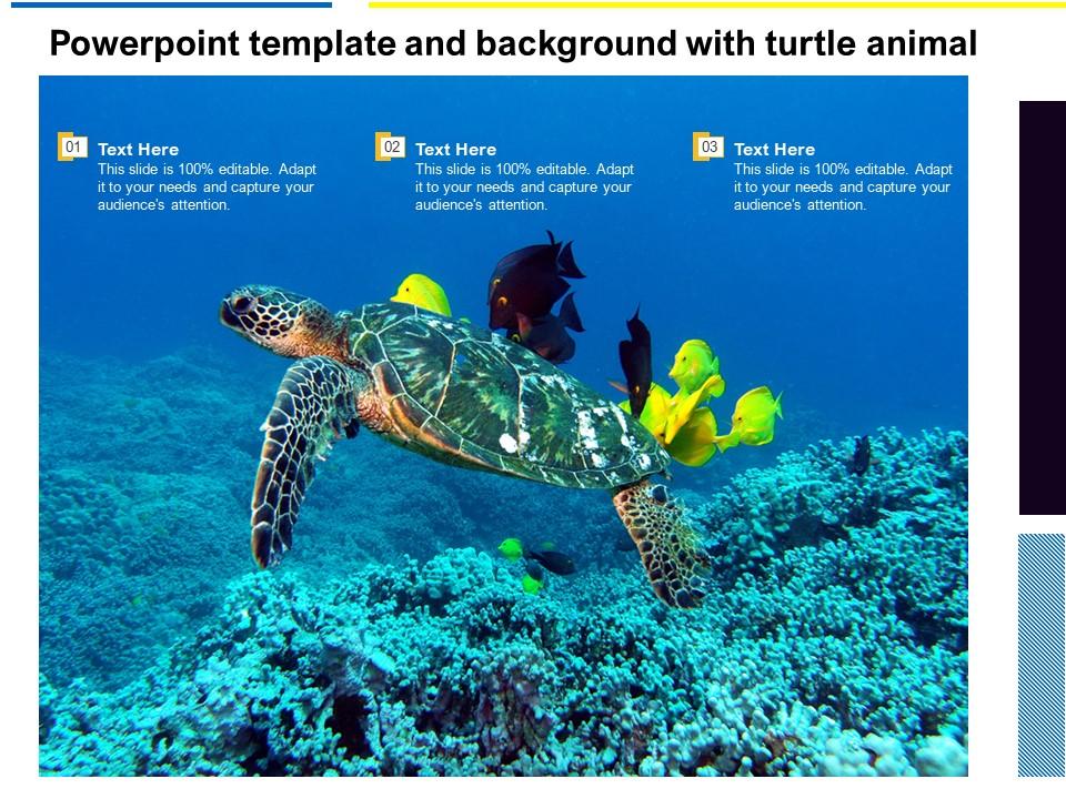Top 10 Turtle Diagram Powerpoint Presentation Templates In 2025