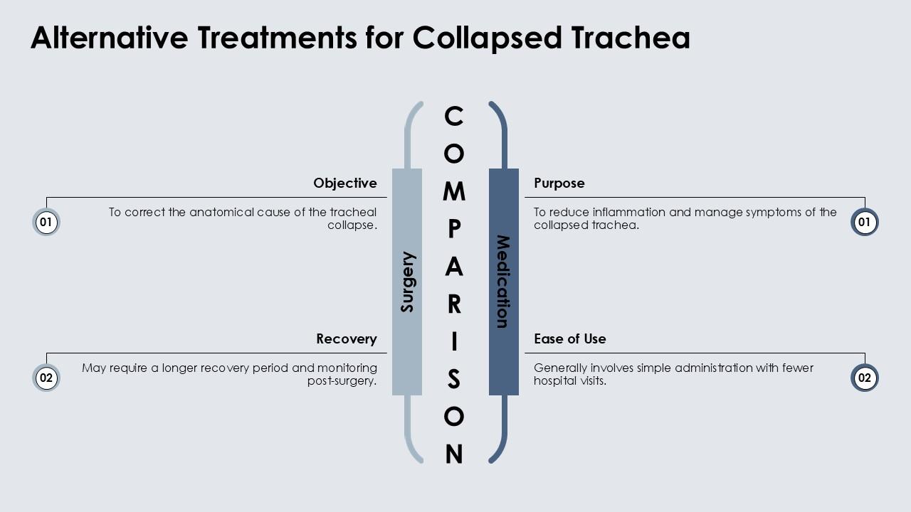 Top 10 Collapsed structures PowerPoint Presentation Templates in 2026