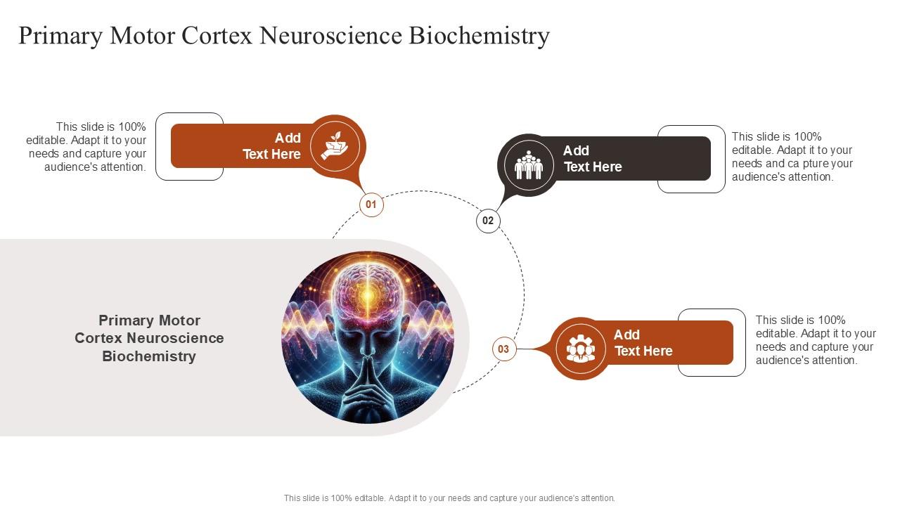 Primary Motor Cortex Neuroscience Biochemistry Ppt Powerpoint Cpp PPT PowerPoint