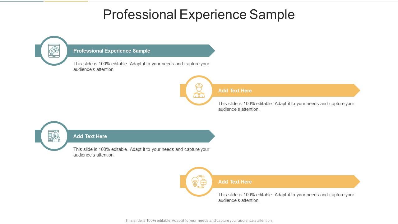 Professional Experience Sample In Powerpoint And Google Slides Cpb PPT Presentation