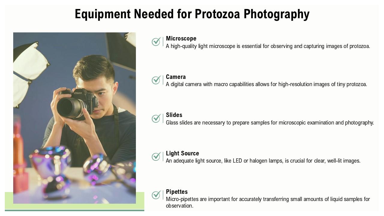 Protozoa Pictures Internship Ppt Structure Acp Ppt Sample