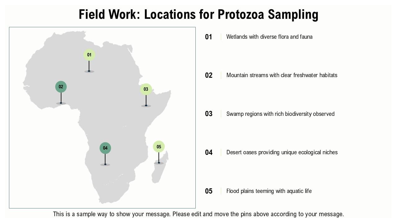 Protozoa Pictures Internship Ppt Structure Acp Ppt Sample
