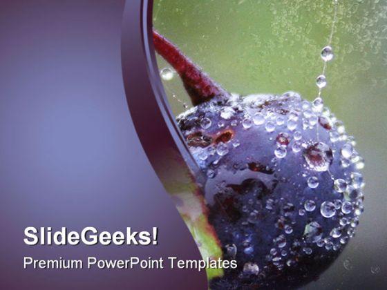 Wild Blueberry Food PowerPoint Templates And PowerPoint Backgrounds ...