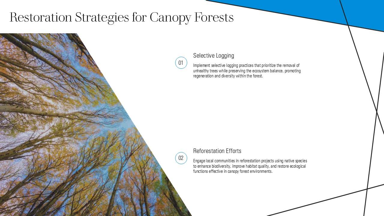 Top 10 Forest Ecosystem Powerpoint Presentation Templates In 2025