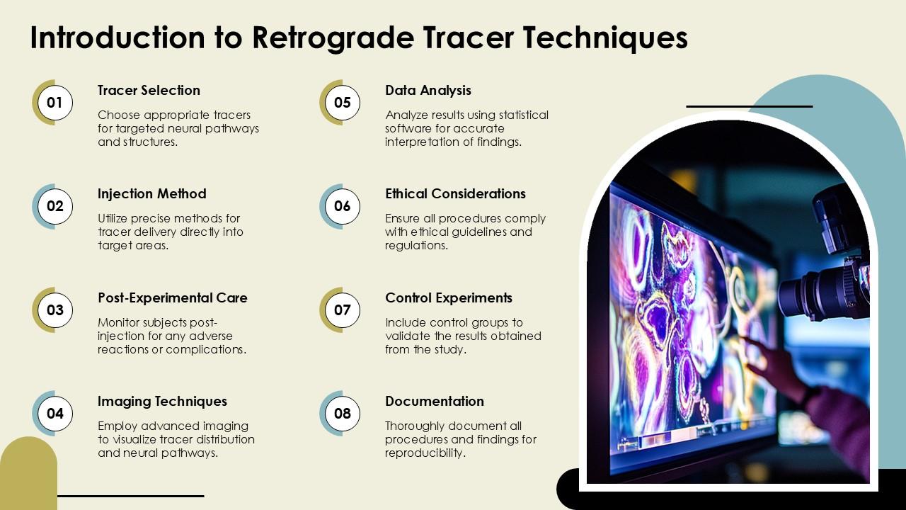 Retrograde Tracer Spinothalamic Tract PPT Mockup ACP PPT Example