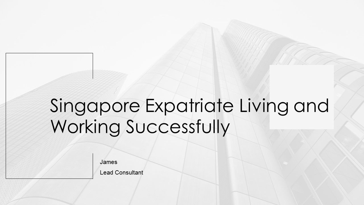 Singapore Expatriate Living And Working Successfully PPT Example AT
