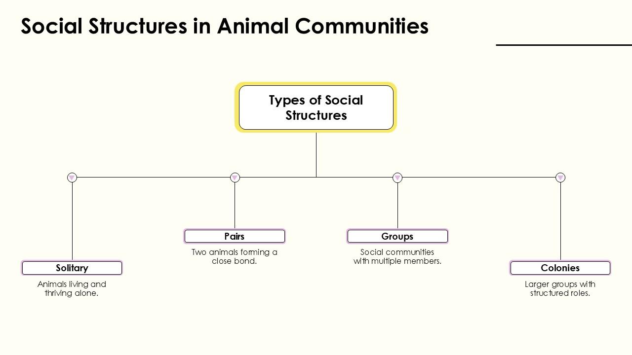 Social Structures In Animal Communities Social Biology PPT Structure ACP PPT Template