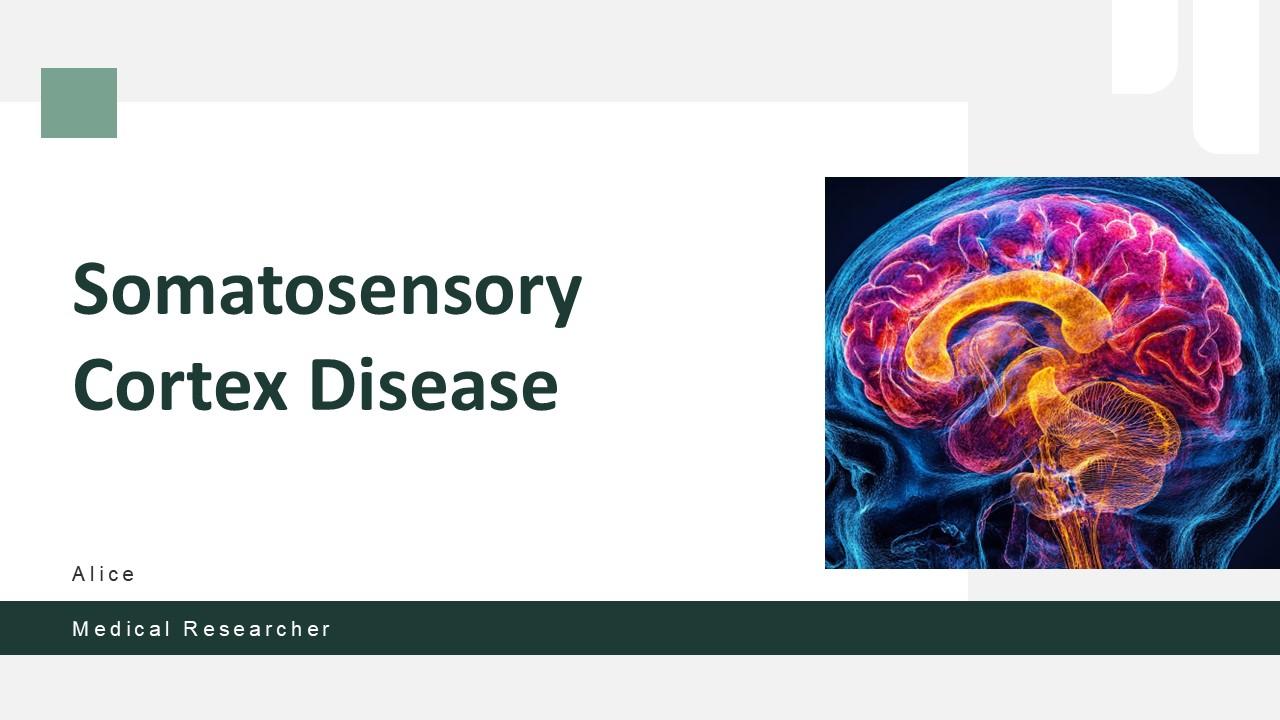 Somatosensory Cortex Disease PPT Information ACP PPT Sample