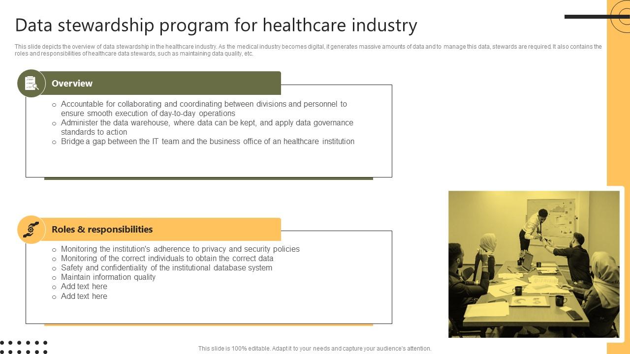 Stewardship By Systems Model Data Stewardship Program For Healthcare Industry PPT Example