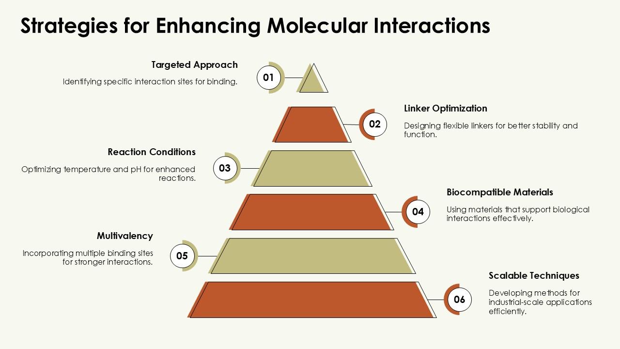 Strategies For Enhancing Molecular Interactions Bioconjugation Techniques Ppt Slides St Ai Ss