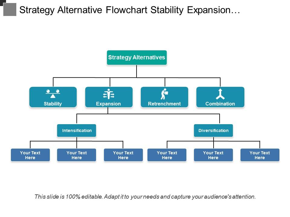 Strategy Alternative Flowchart Stability Expansion Retrenchment And