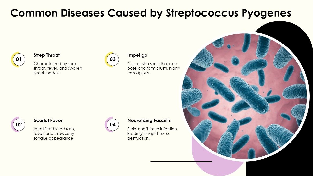 Streptococcus Pyogenes Bacterium Medical Type PPT Summary AT