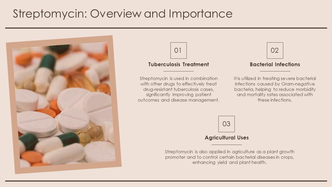 Top 10 Tuberculosis PowerPoint Presentation Templates in 2026