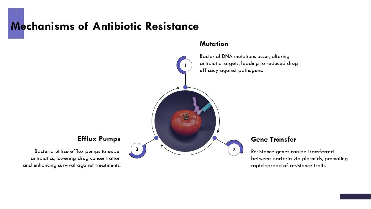 Top 10 antibiotic resistance PowerPoint Presentation Templates in 2026