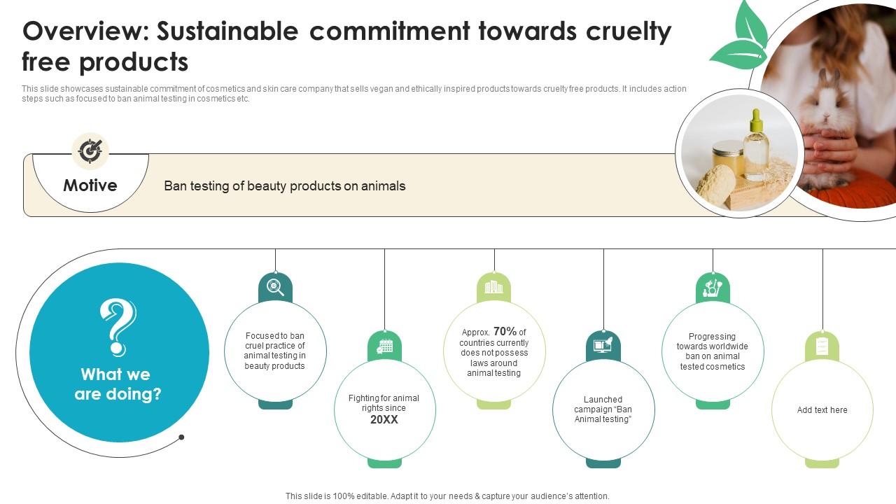 Top 10 Sustainable Entrepreneurship Powerpoint Presentation Templates