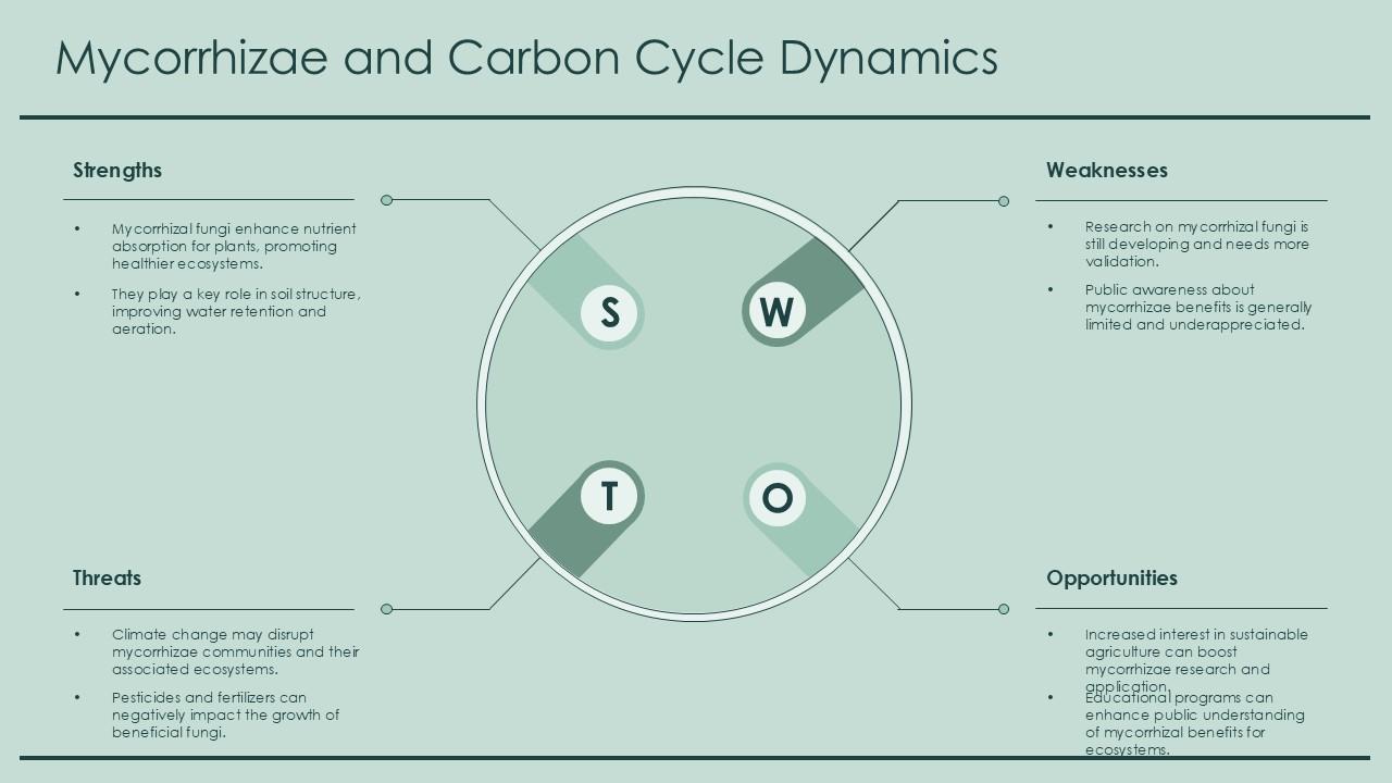 Symbiotic Relationship Mycorrhizal Fungi PPT Summary ACP PPT Sample