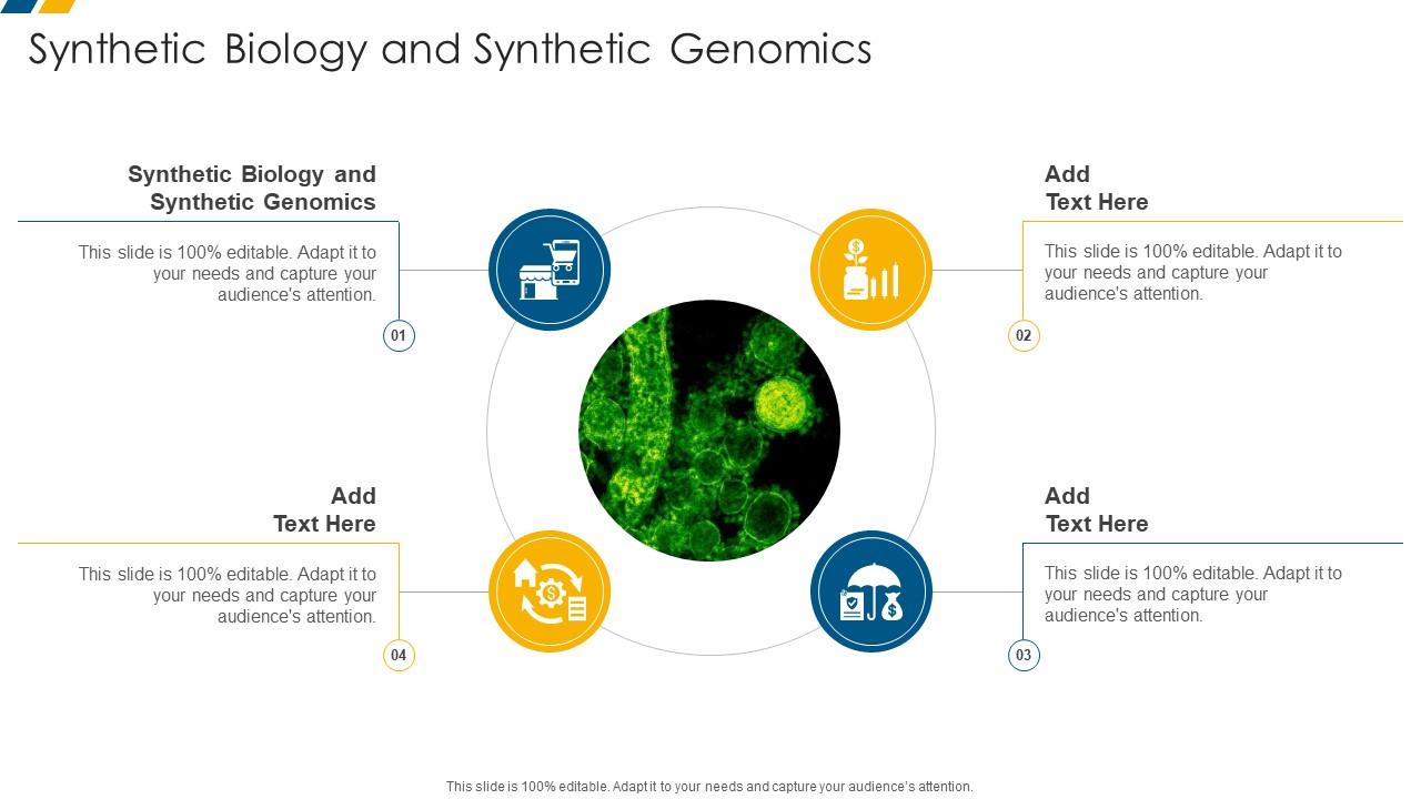 Synthetic Biology And Synthetic Genomics In Powerpoint And Google Slides Cpp PPT Sample