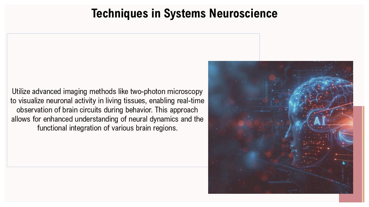 Techniques In Systems Neuroscience PPT Example PPT Presentation
