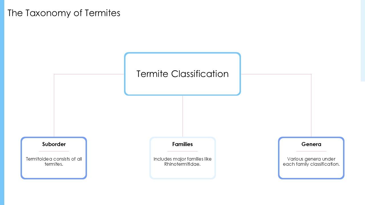 Termites Evolution PPT Summary ACP PPT Example