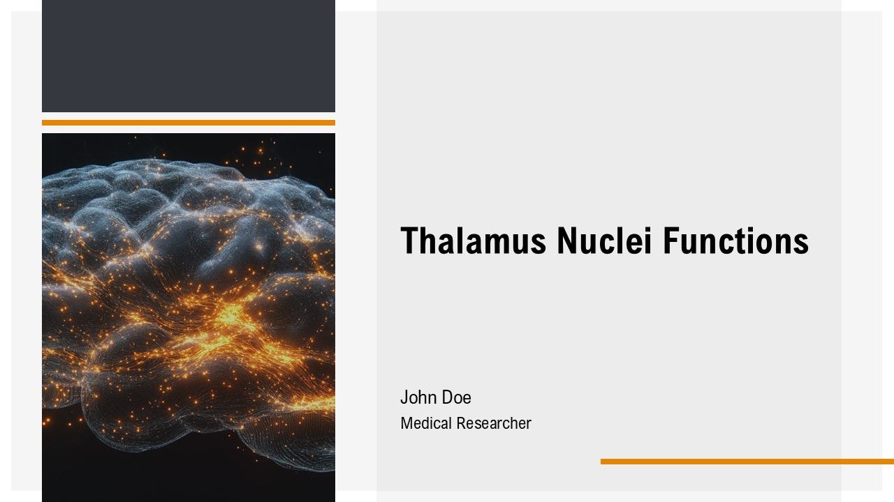 Thalamus Nuclei Functions PPT Outline AT