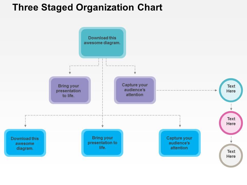 Three Staged Organization Chart Flat Powerpoint Design | Templates ...