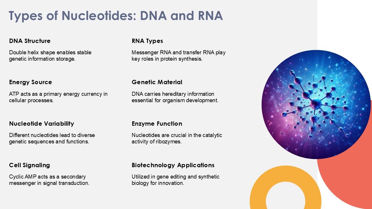 Types Of Nucleotides Dna And Rna Nucleotides Macromolecules PPT Example ...