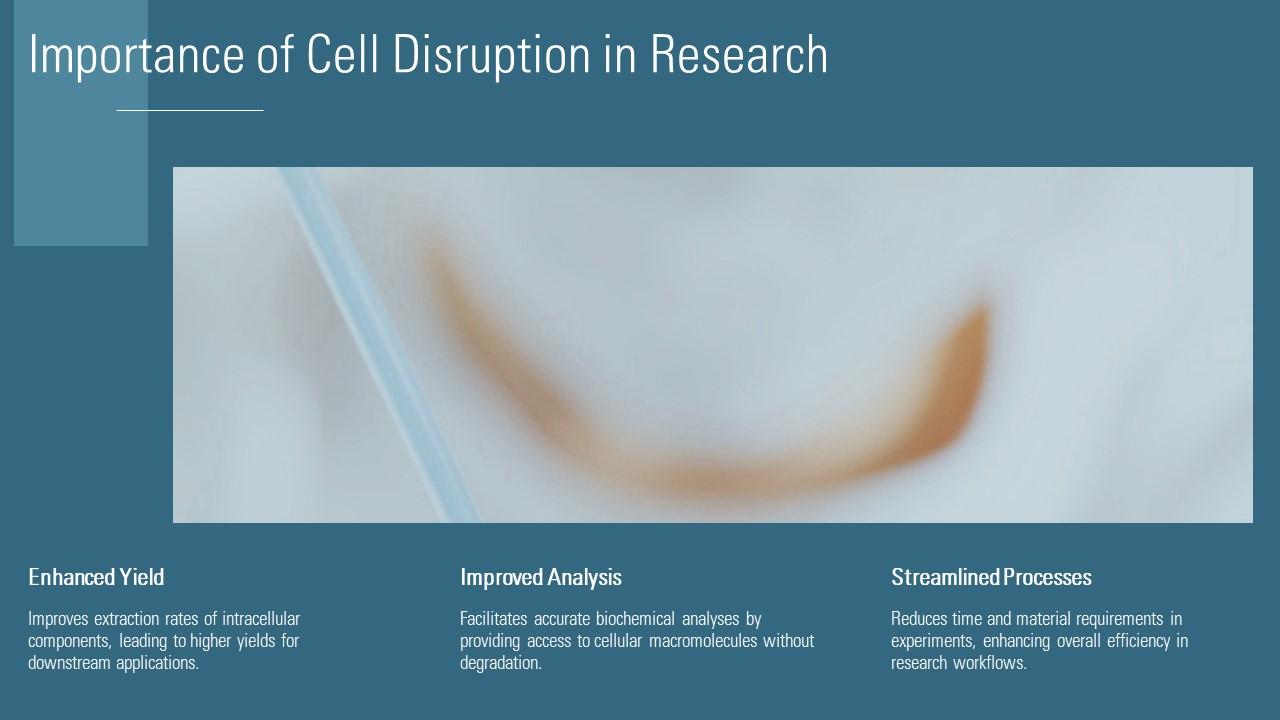 Understanding Cell Disruption Techniques For Enhanced Biological