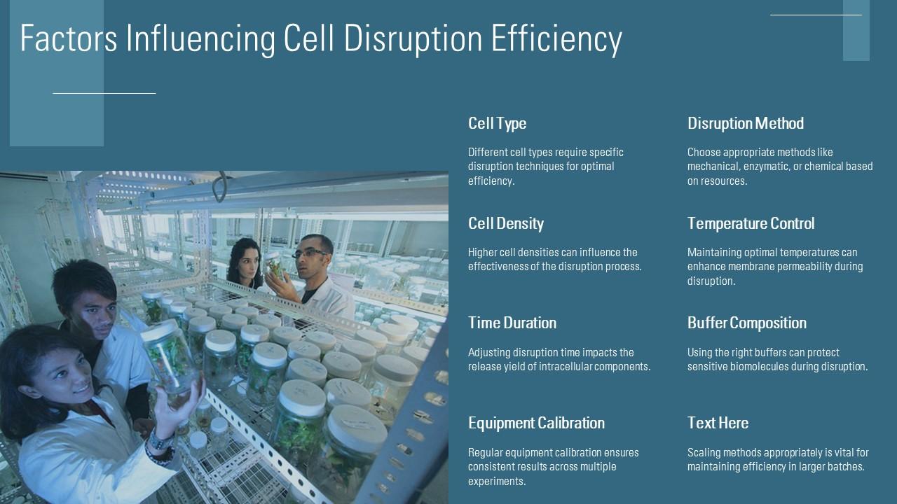 Understanding Cell Disruption Techniques For Enhanced Biological