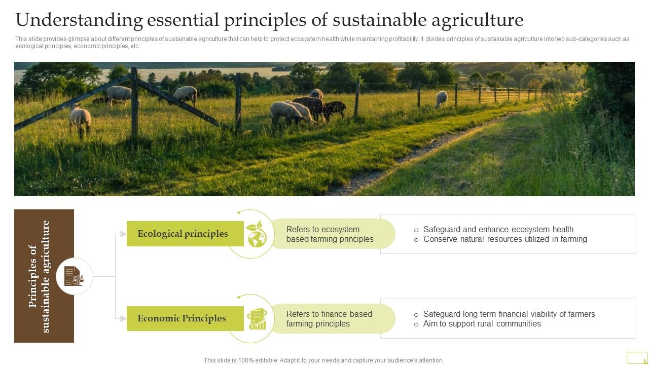 Top 10 Diversification Farming Systems For Sustainable Agriculture ...