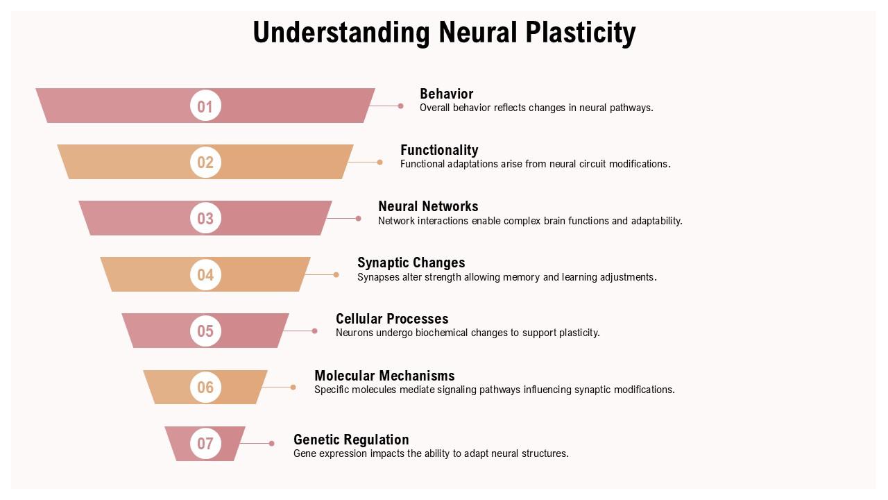 Understanding Neural Plasticity Neuroscience PPT Example PPT Template