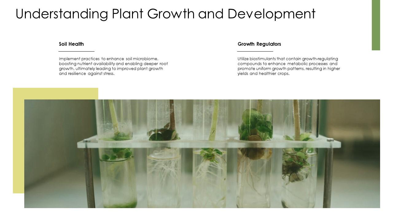 Understanding Plant Growth And Development Biostimulant Ppt Template ST ...