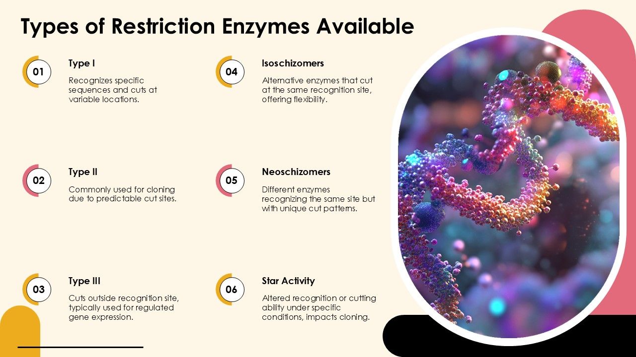 Top 10 Restriction Enzyme PowerPoint Presentation Templates in 2026