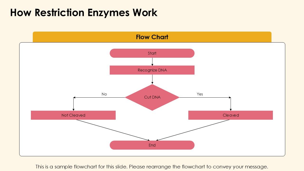 Top 10 Restriction Enzyme PowerPoint Presentation Templates in 2026