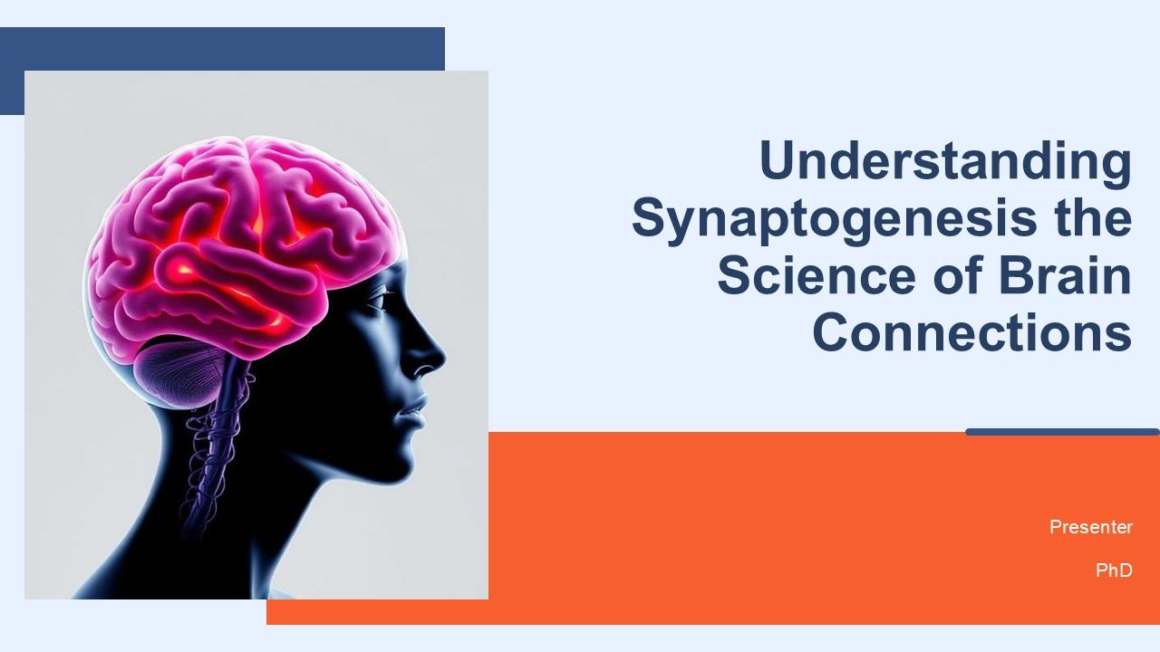 Understanding Synaptogenesis The Science Of Brain Connections PPT ...