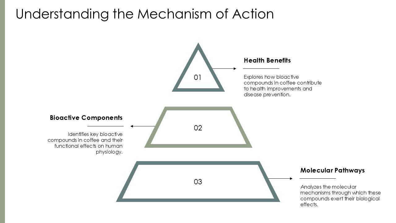 Understanding The Mechanism Of Action Bioactive PPT Template ACP PPT Sample