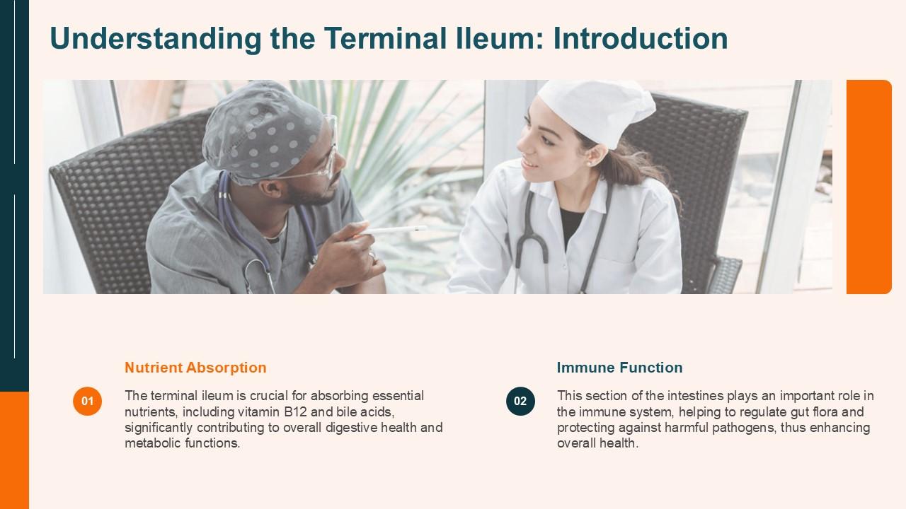 Top 10 Container Terminal PowerPoint Presentation Templates in 2026