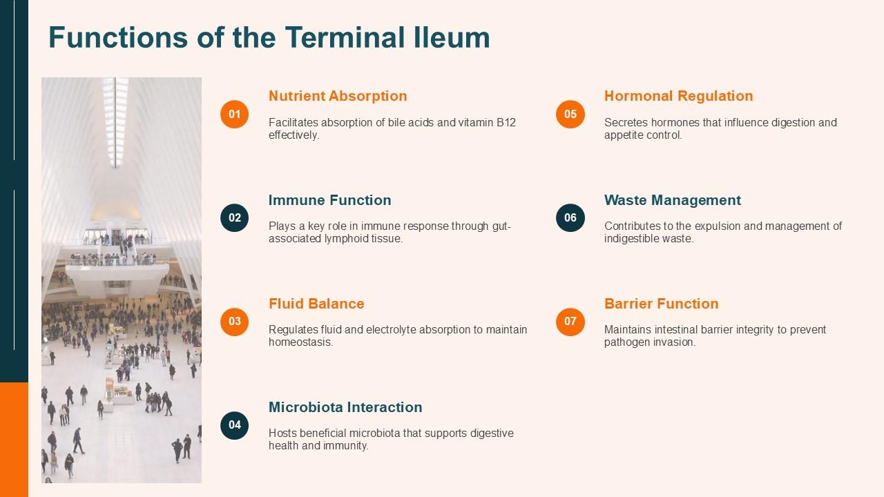 Top 10 Container Terminal PowerPoint Presentation Templates in 2026