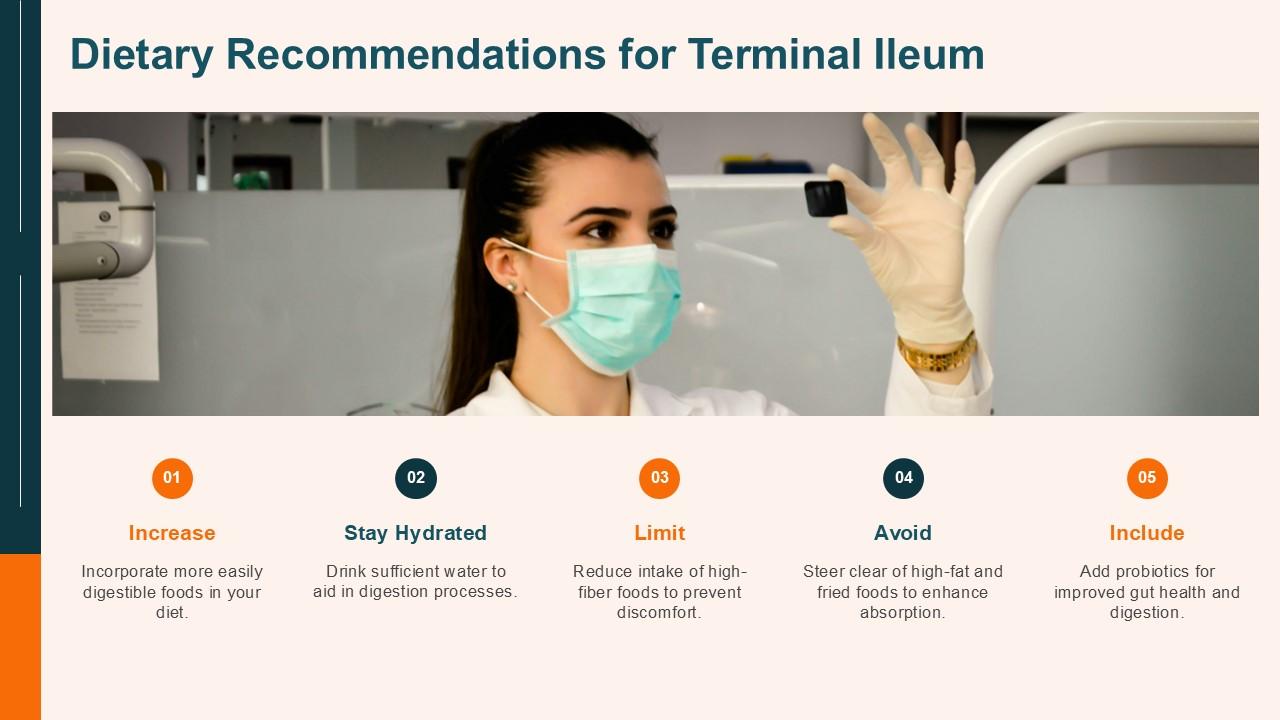 Top 10 Container Terminal PowerPoint Presentation Templates in 2026