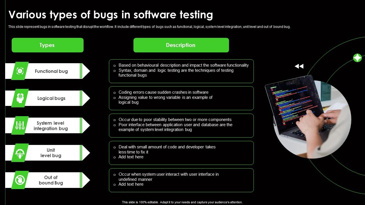 Various Types Of Bugs In Software Testing PPT Example