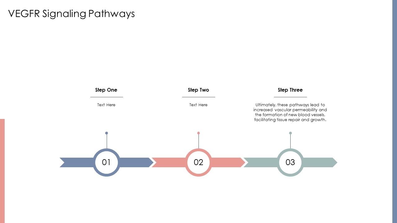 Vegfr Signaling Pathways Ppt Presentation St Ai Ss Ppt Example