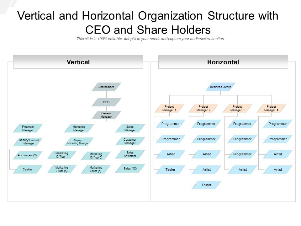 Vertical And Horizontal Organization Structure With Ceo And Share