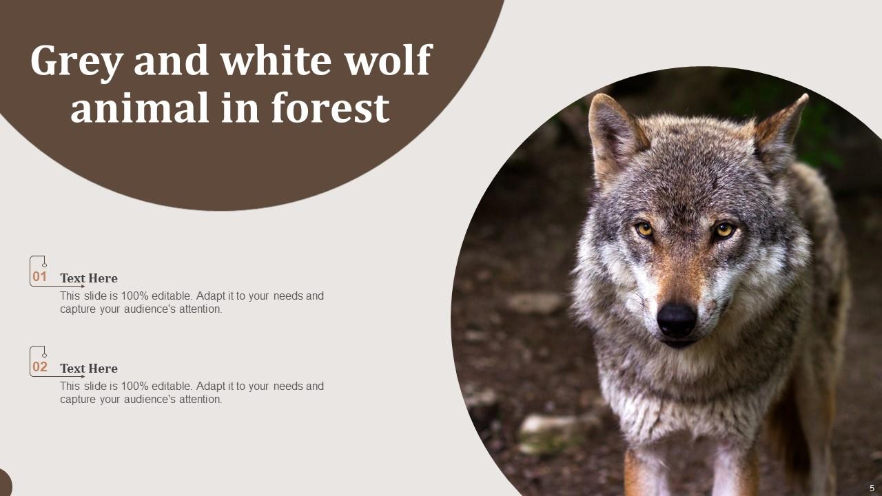 Top 10 Wolf PowerPoint Presentation Templates in 2026