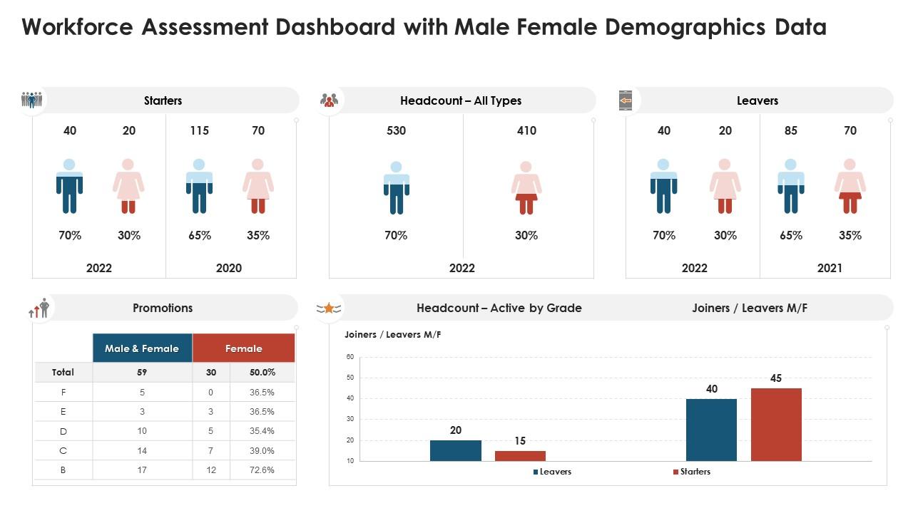 workforce assessment dashboard with male female demographics data | Presentation Graphics ...