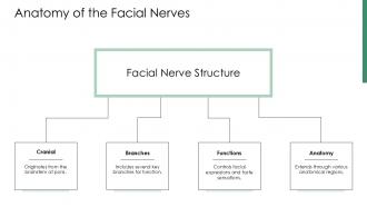 Anatomy Of The Facial Nerves PPT PowerPoint ACP PPT Presentation