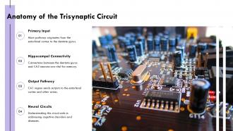 Anatomy Of The Trisynaptic Circuit PPT Slides ST AI SS PPT Slide