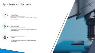 Apoptosis Vs Necrosis Biological Damage PPT Presentation ST AI SS PPT ...