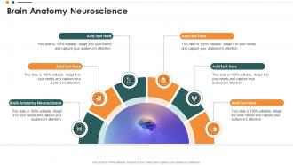 Brain Anatomy Neuroscience Ppt Slides Cpp PPT Slide