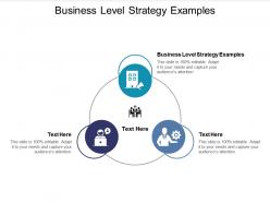 Business Level Strategy Examples Ppt Powerpoint Presentation Outline ...